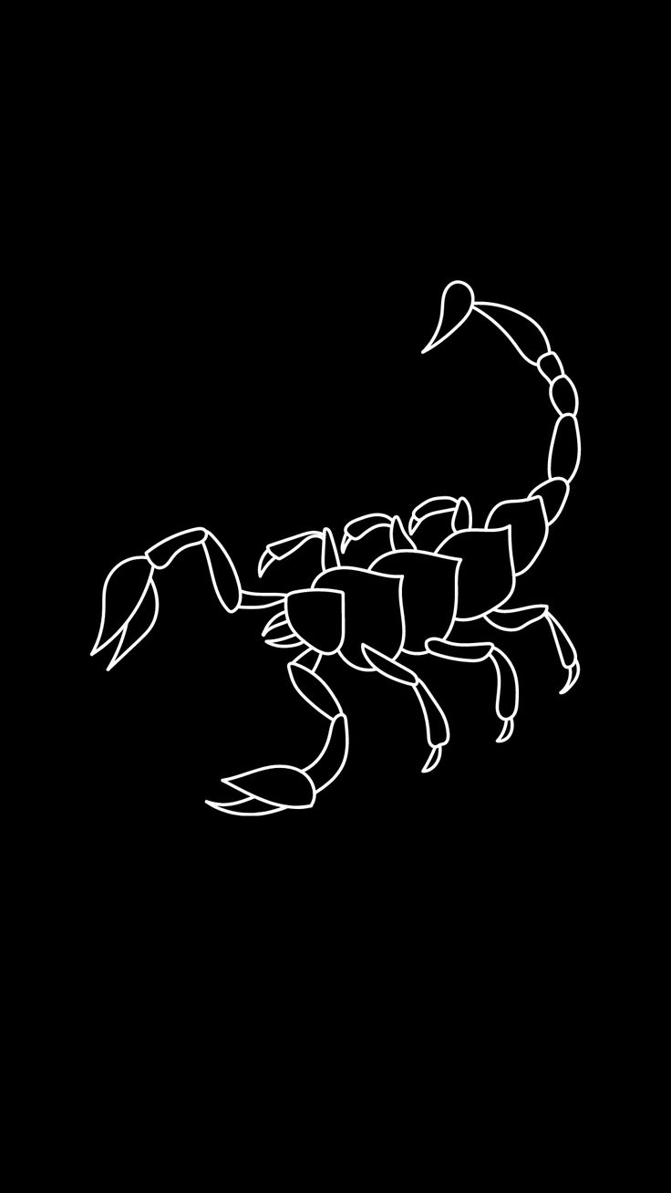 Logo cung Bọ Cạp, sáng tạo, độc đáo