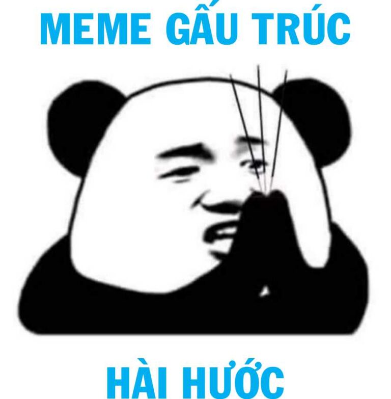 Tổng hợp meme gấu trúc hài bựa, meme gấu trúc cute cực dễ thương