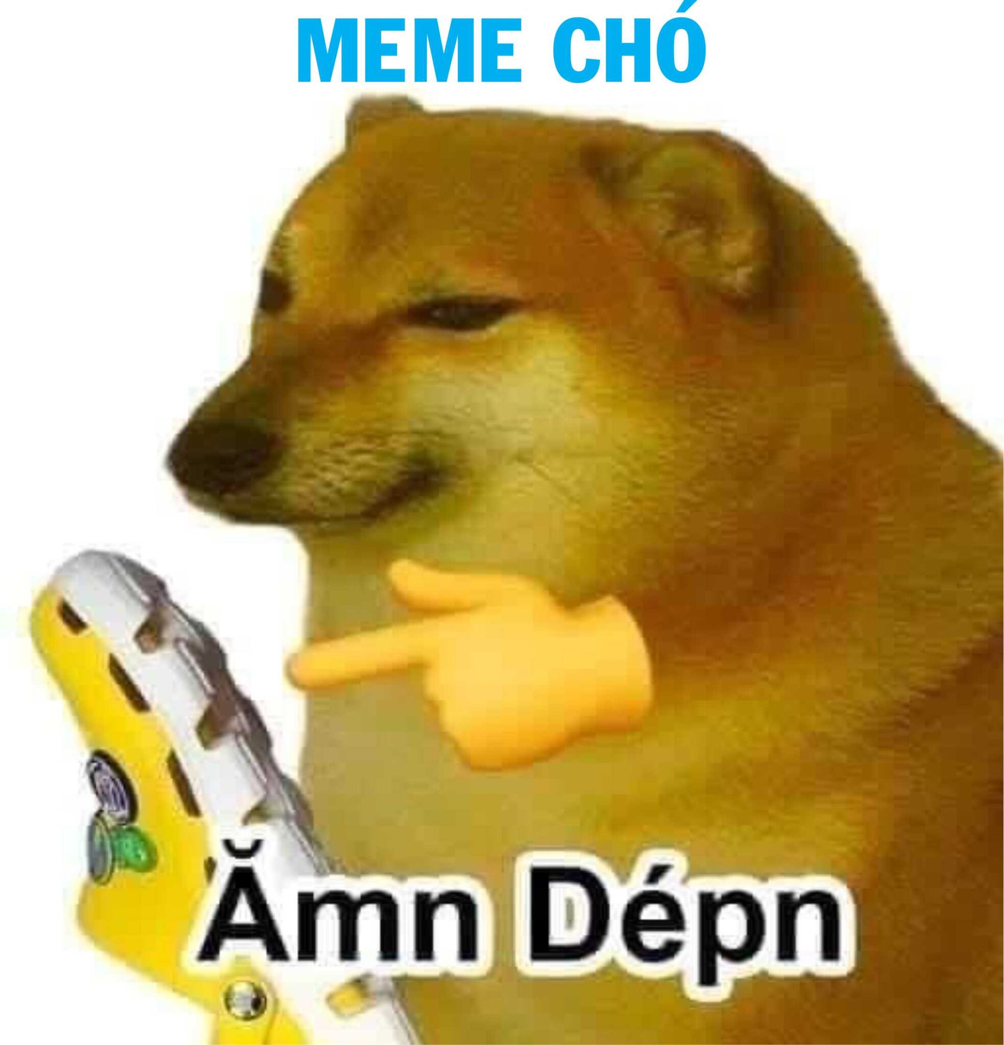 Tổng hợp 99+ Meme chó hài hước, meme chó cute và bựa nhất